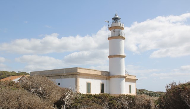Mallorca: Inseltour Cap de San Salines - Salines des Salobrar - Palma ...